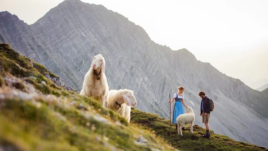 The Adlerweg in Tyrol: exploration tour through the mountains