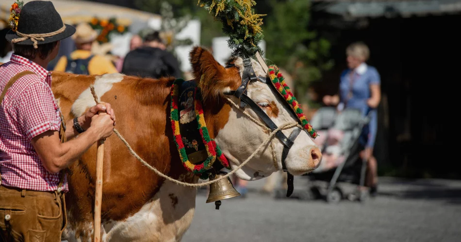 Almabtrieb & Schafschoad I Tiroler Zugspitz Arena